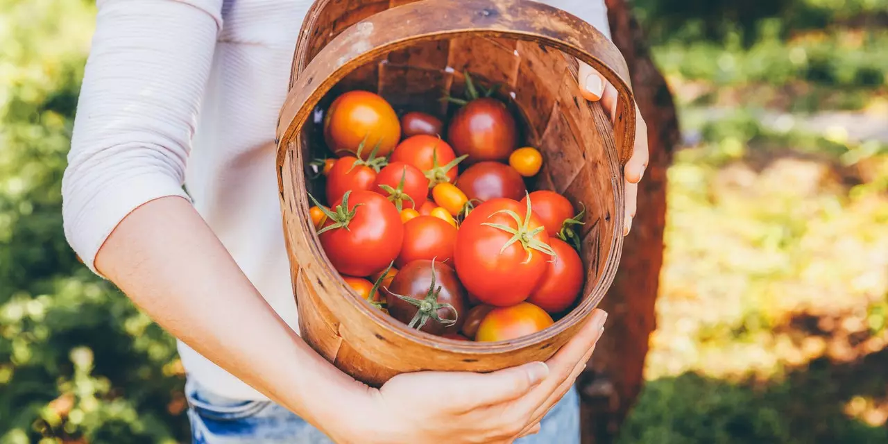 10 prostych wskazówek dotyczących uprawy własnej żywności, nawet jeśli nie możesz utrzymać rośliny przy życiu