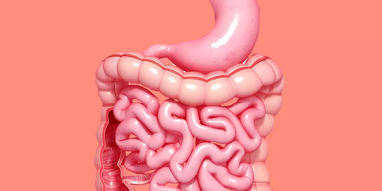 Com saber la diferència entre IBS i IBD