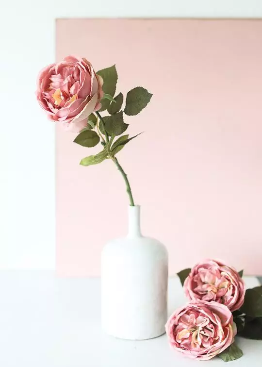 Ôfbylding kin befetsje: Flower, Rose, Plant, Blossom, Petal, Vase, Pottery, Jar, Ikebana, Ornament, Flower Arrangement, en keunst